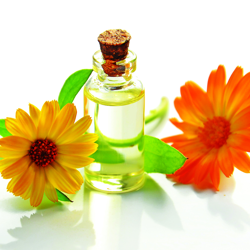 Healing Oils - ASCENDED LOTUS